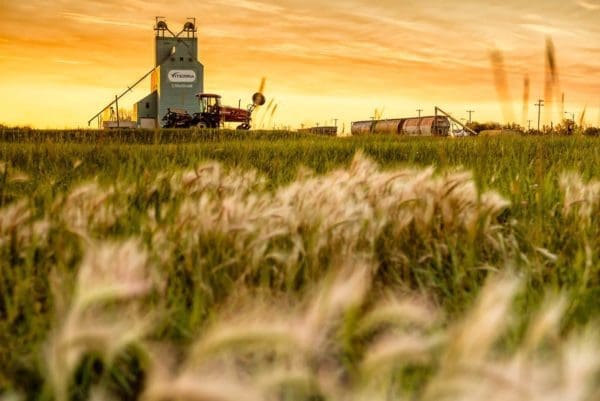 Grimshaw - Mighty Peace Tourism